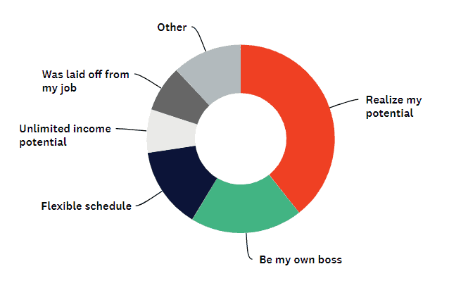Entrepreneurial Mindset Study (2020) | Consulting Success